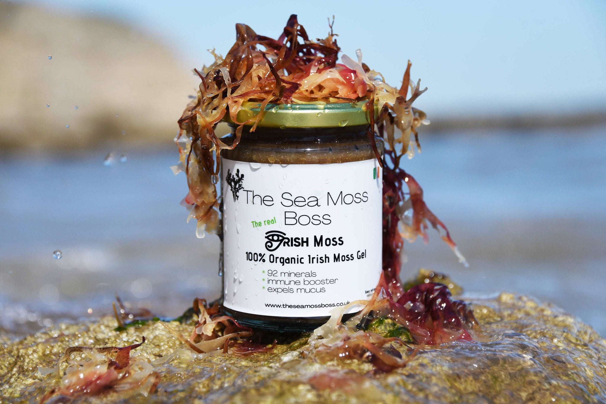 The Real Irish Moss Gel – The Sea Moss Boss
